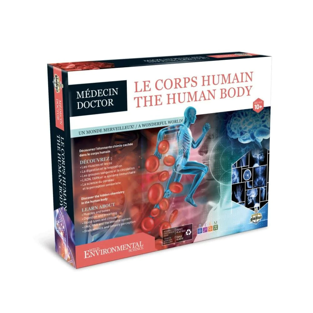 Ensemble de science - Le corps humain – La Valise aux Merveilles